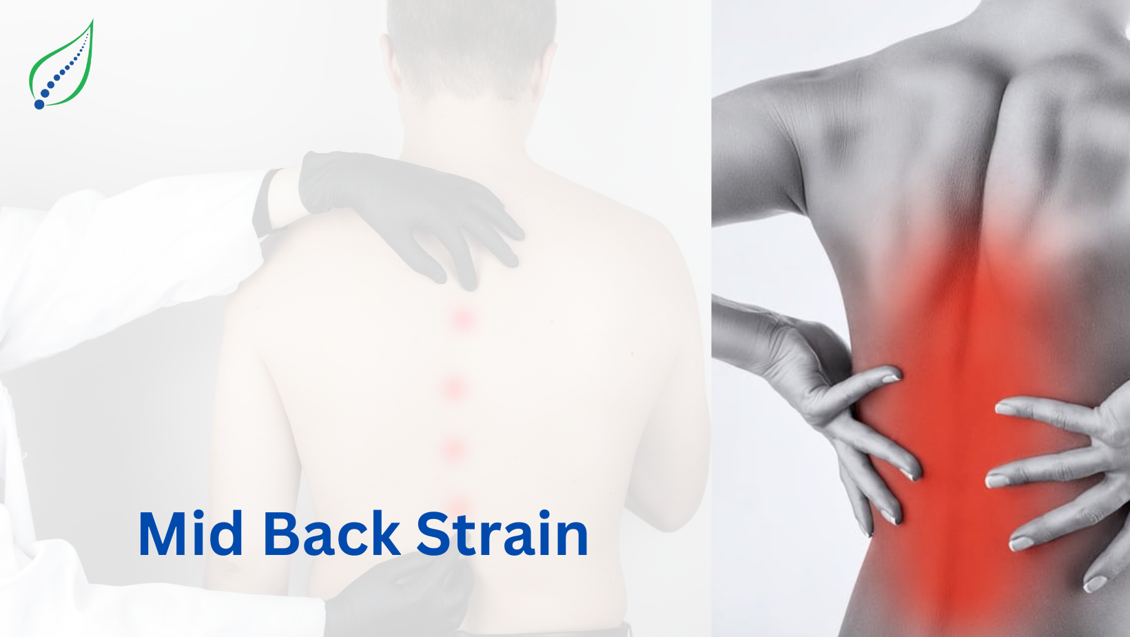 Top Mid Back Strain Care in Pune | Spinalogy | Best Back Pain, Slip ...