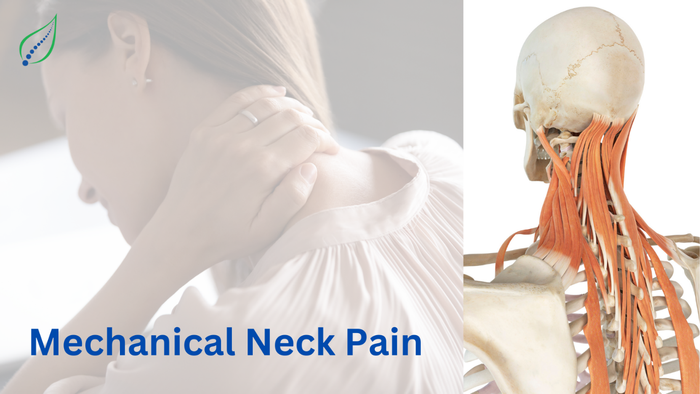 Best Mechanical Neck Pain Care | Spinalogy Clinic Pune | Best Back Pain ...